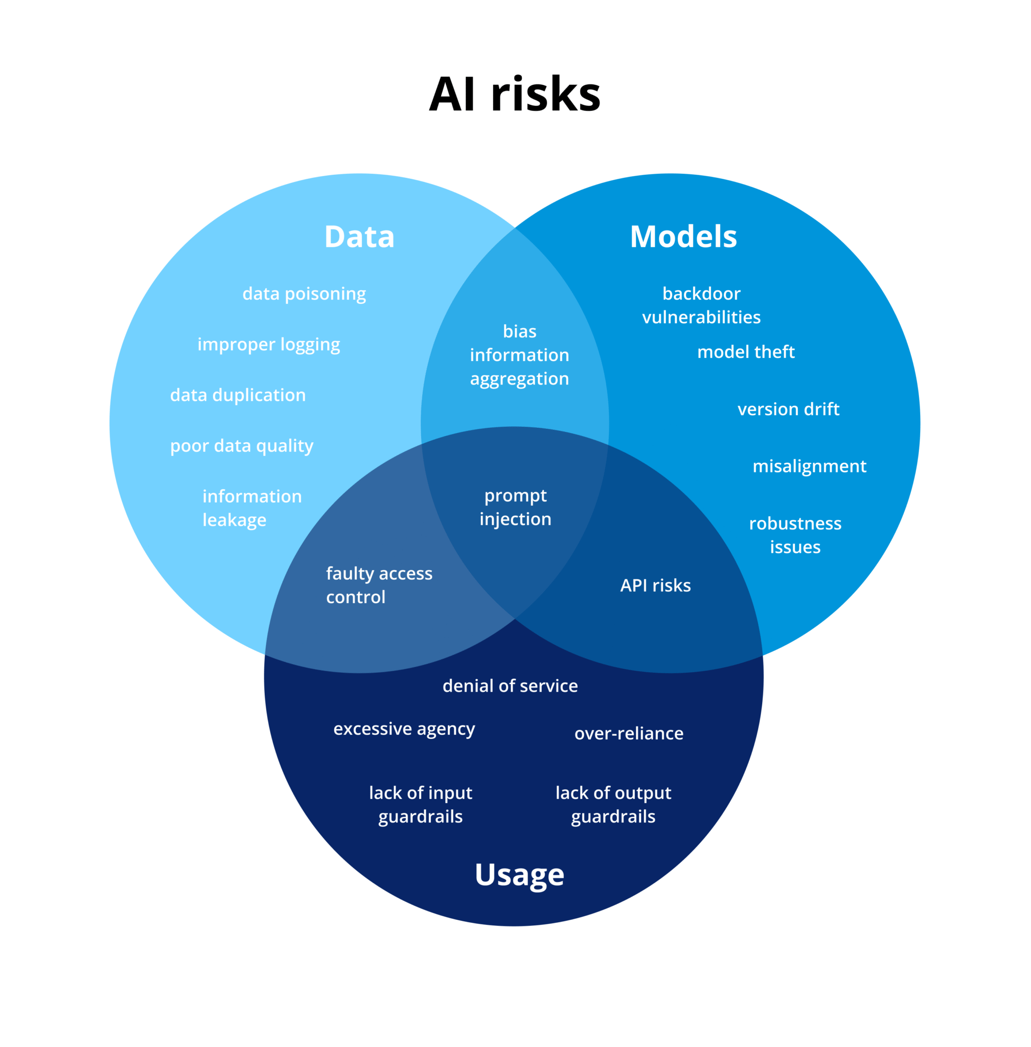 Navigating Safe AI Deployment in Enterprise Organizations